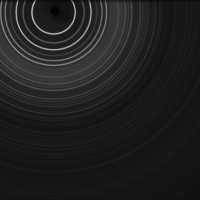 News – Adam Sapnik