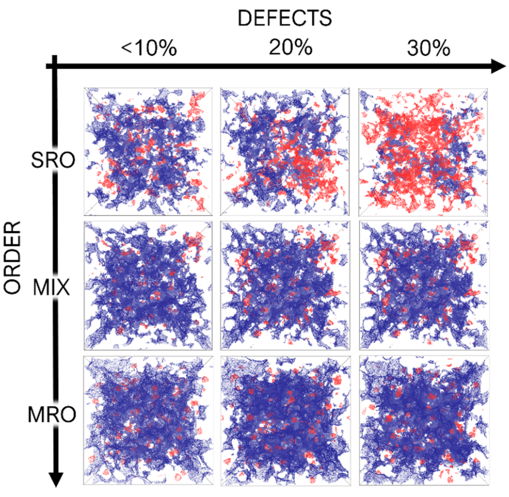 Publications – Adam Sapnik