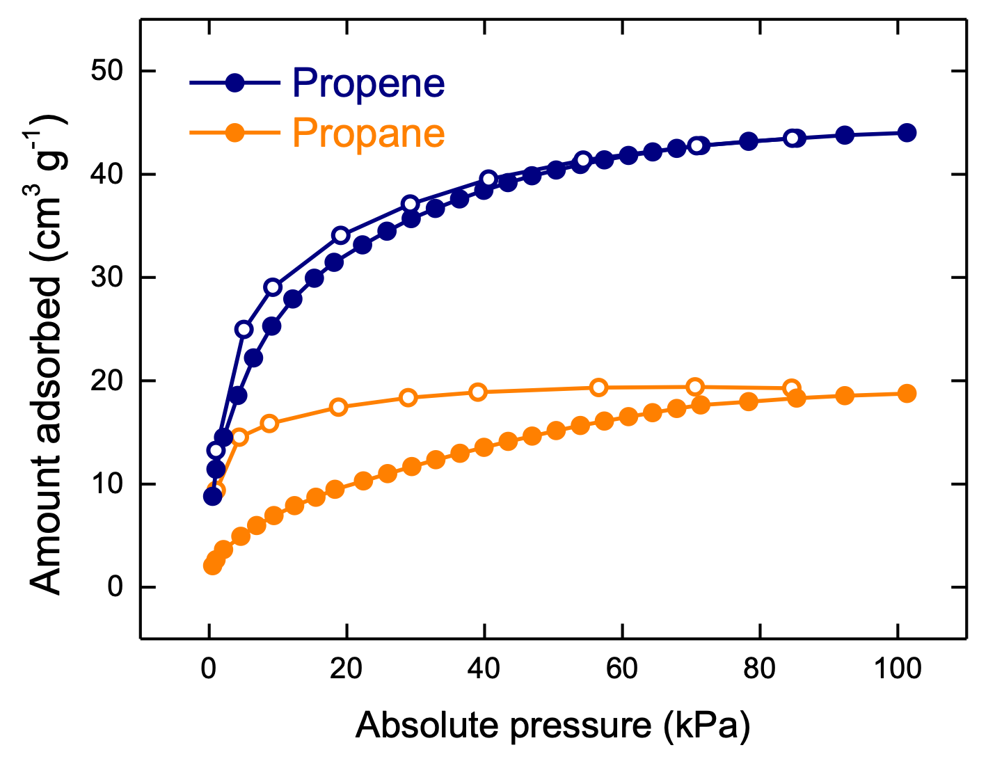 Publications – Adam Sapnik